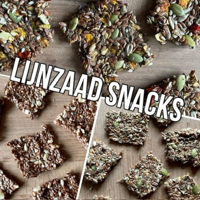 Lijnzaad crackers – Parrot and Bird Supplies