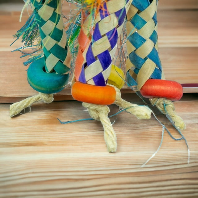 Firecracker – Parrot and Bird Supplies