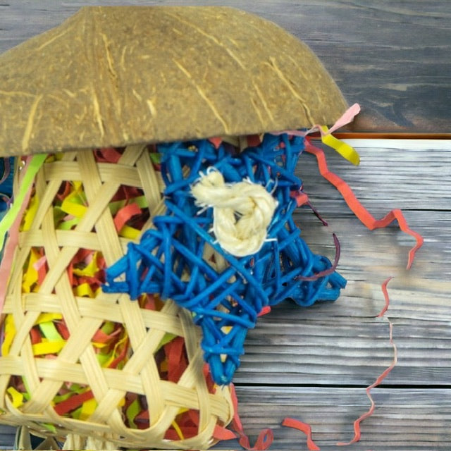 Firecracker – Parrot and Bird Supplies